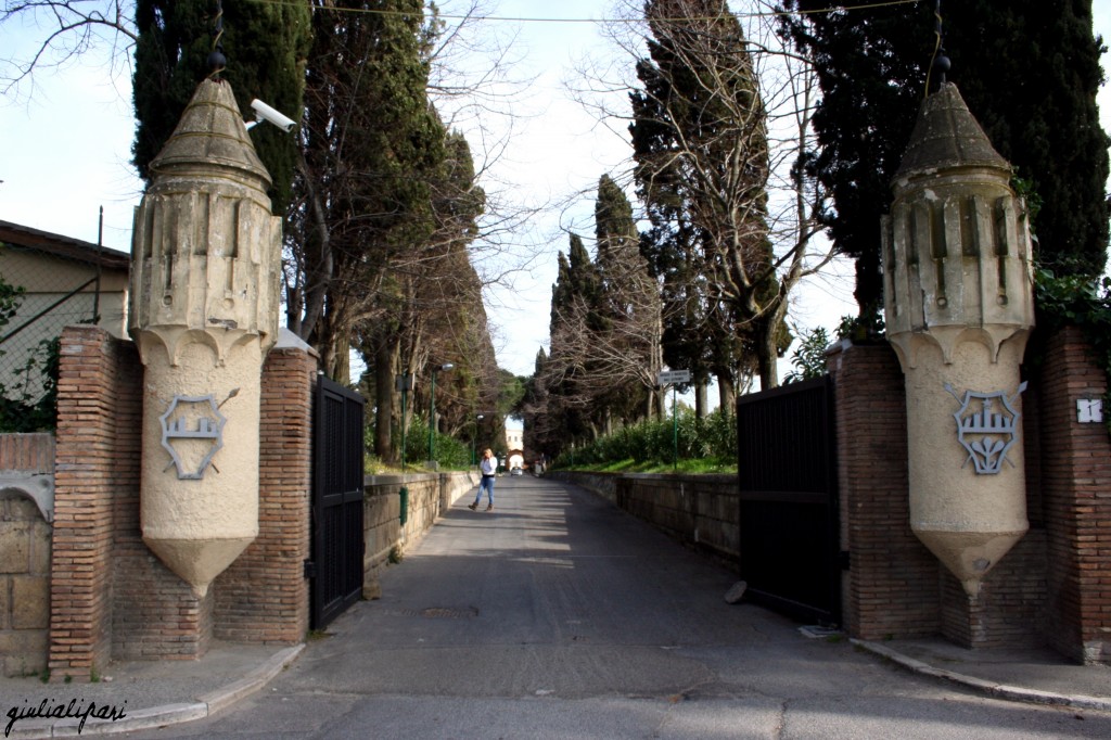 La Città dei Ragazzi - Piccoli Adulti Crescono